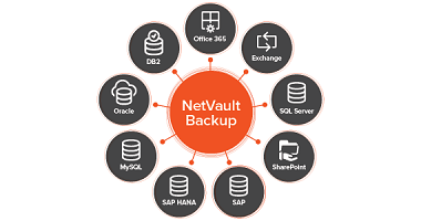 NetVault for Office 365 backup and recovery - Data Protection - Blogs - Quest Community