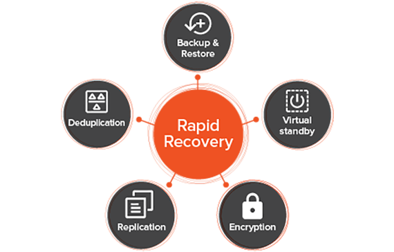Rapid Recovery | Quest