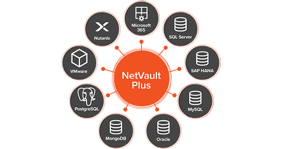 NetVault Plus Enterprise Backup Software